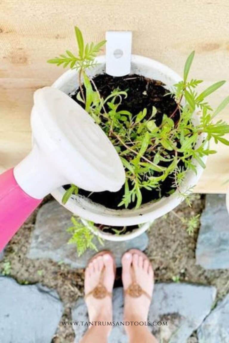 Making a DIY Plant Wall In 5 Easy Steps