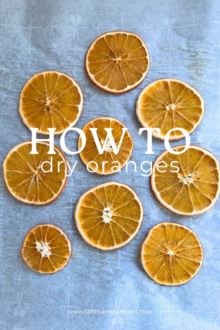 How To Make Dried Orange Slices » Tantrums and Tools